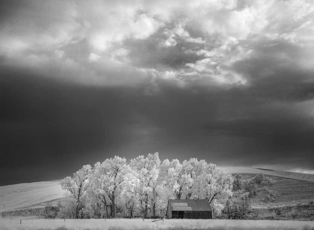 Infrared Photography by Tony Sweet – Technical Night in June